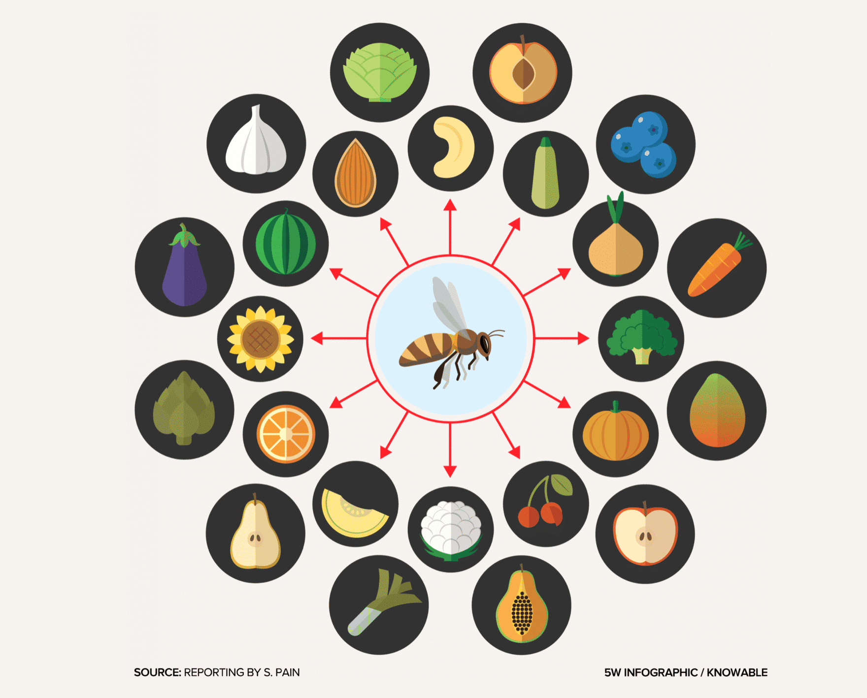 Bees,Bees magnificent little Bees! • Microgarden